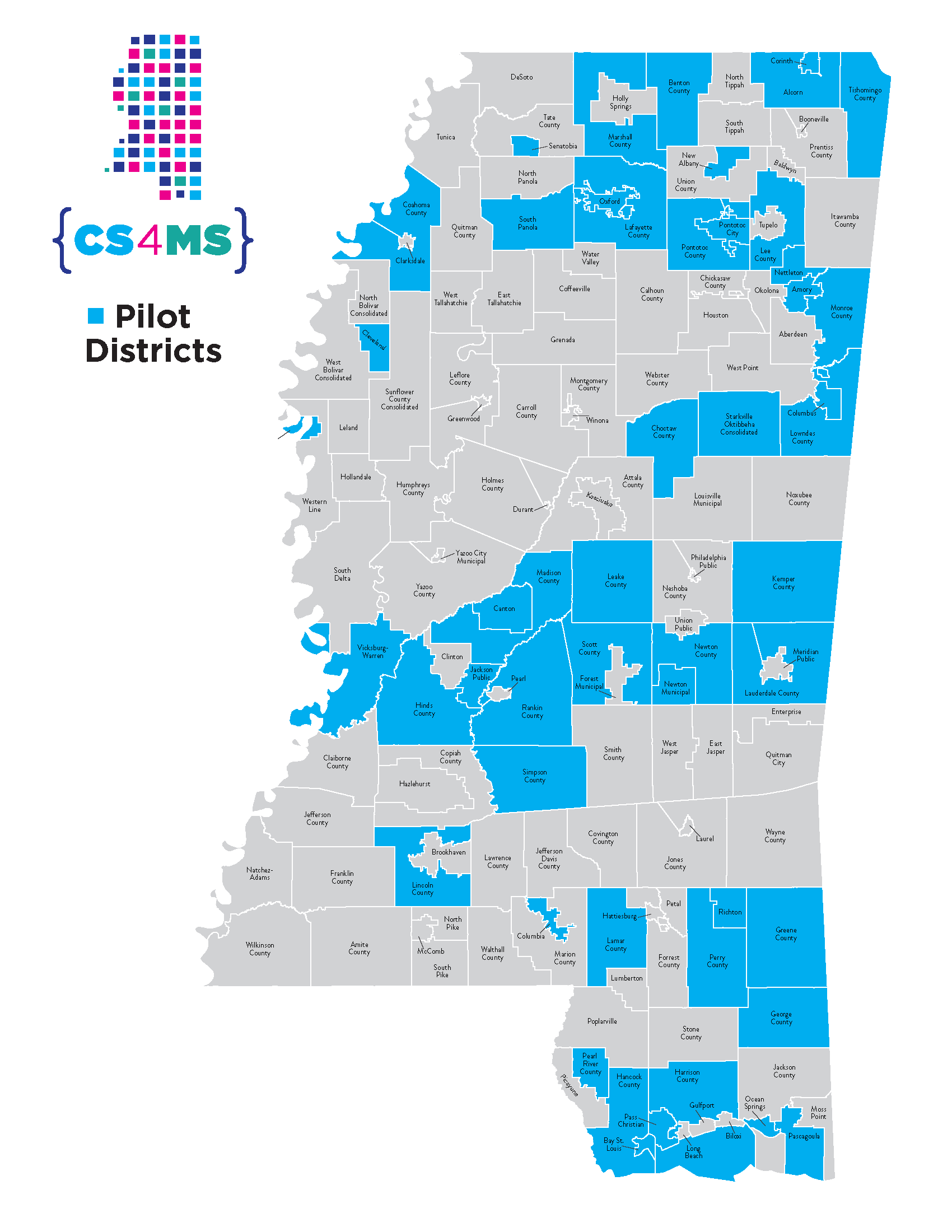 The CS4MS Pilot - Computer Science for MSComputer Science for MS